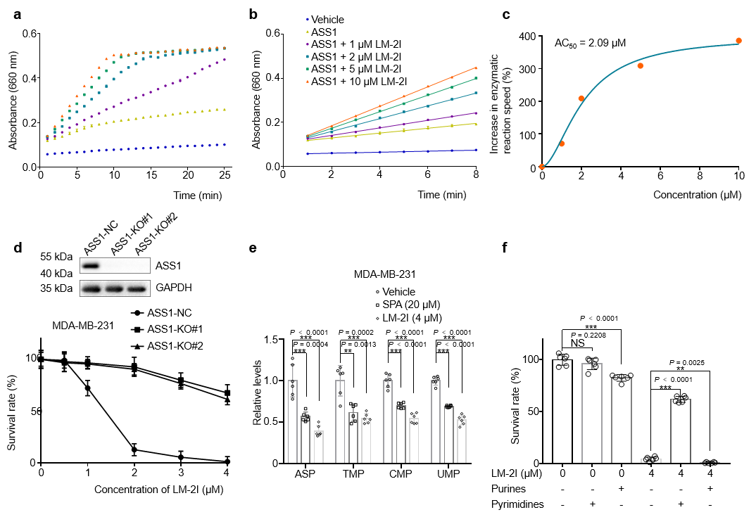 中南大学罗志勇、刘苏友研究团队发现天然产物多杀菌素A及衍生物为ASS1激活剂和肿瘤抑制剂-中南大学新闻网门户网站